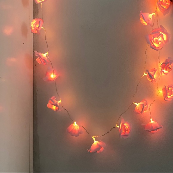 Holiday | New Trendy Hot Pink Roses String Lights | Poshmark